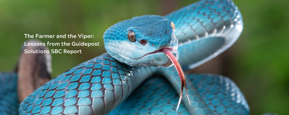 The Farmer and the Viper: Lessons from the Guidepost Solutions SBC Report
